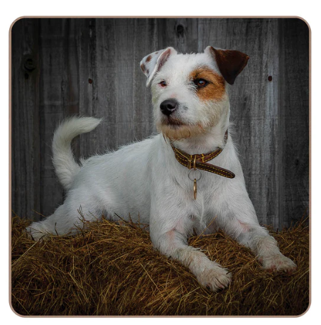 TRADESTOCK HOME IStyle Rural Roots Jack Russell Placemats/Coasters ...